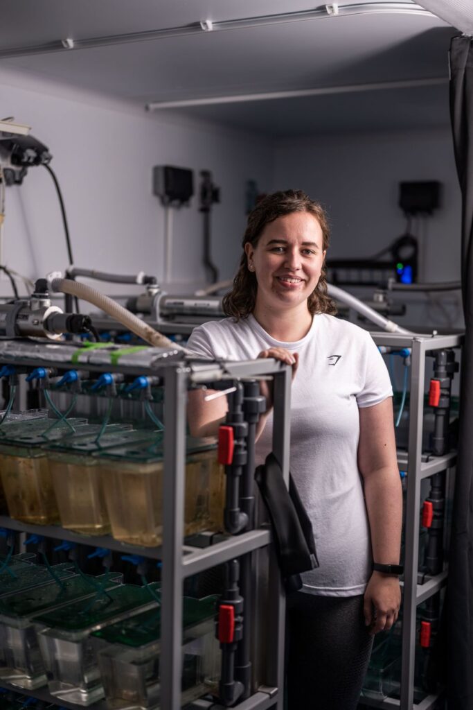 Evolution of Early Branching Metazoans | Marine Biological Association