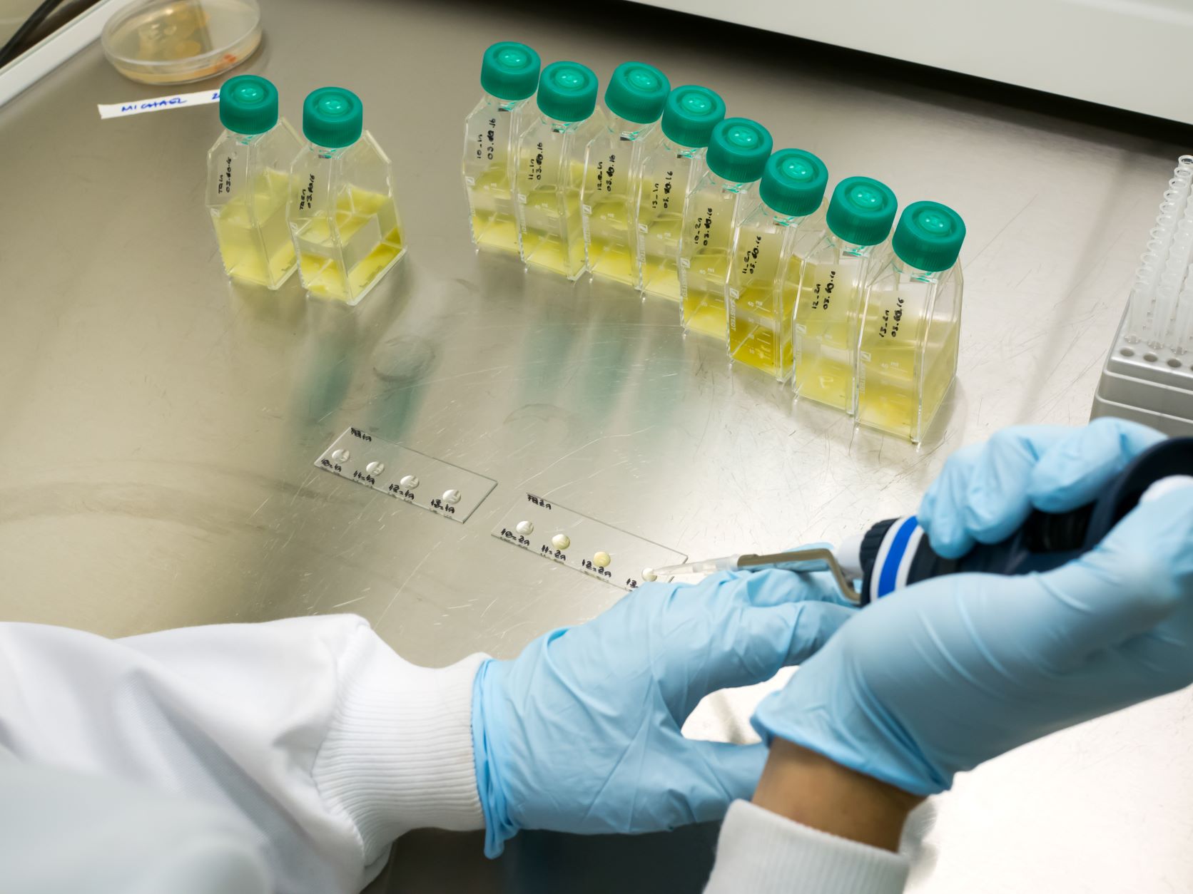 Marine Microbiome | Microbial Environment | Marine Biological Association