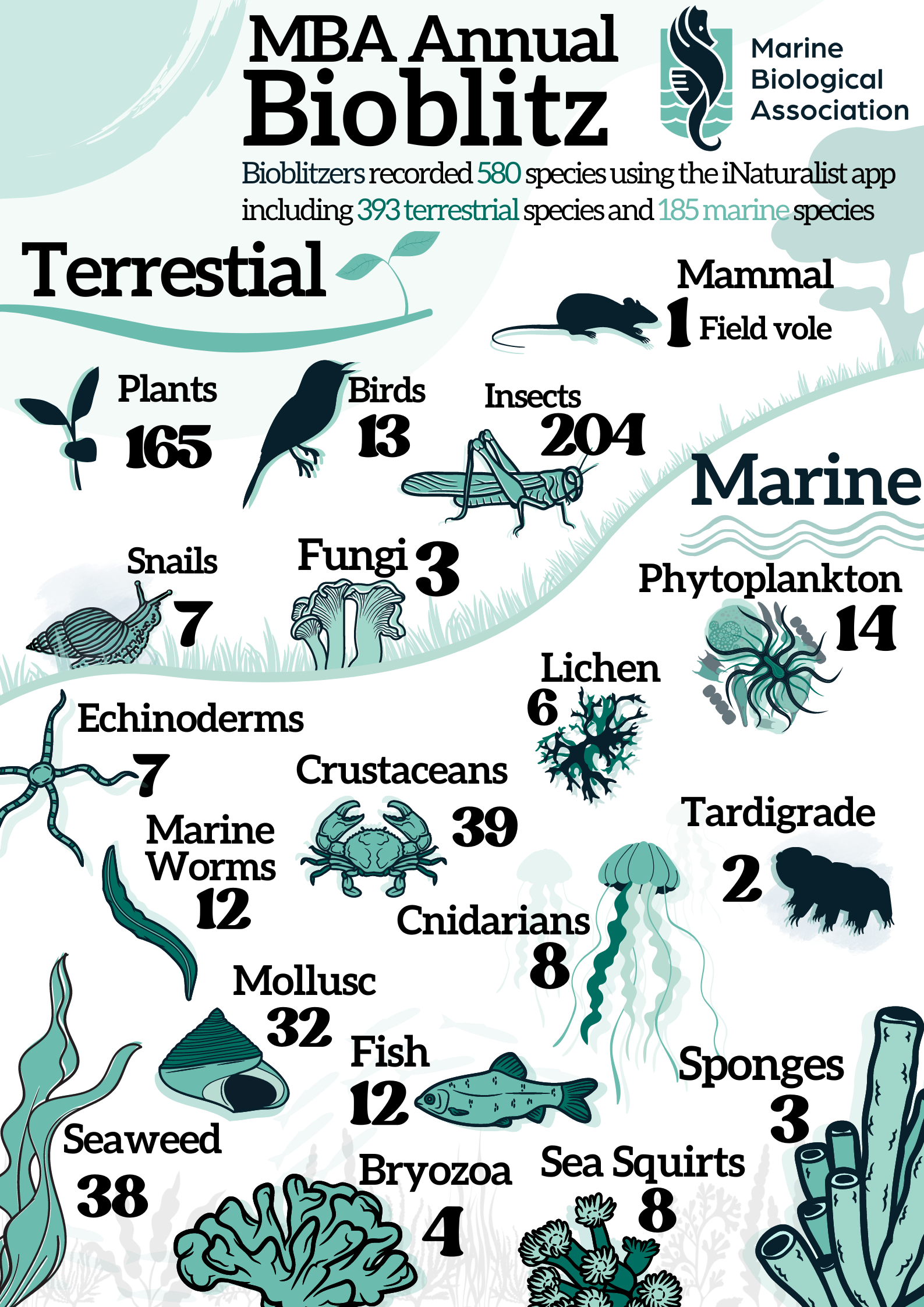 Mount Batten Bioblitz - The Results Are In | Marine Biological Association