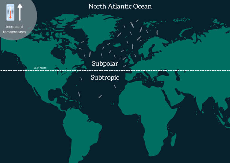Climate change driving changes of plankton in our ocean | Marine ...