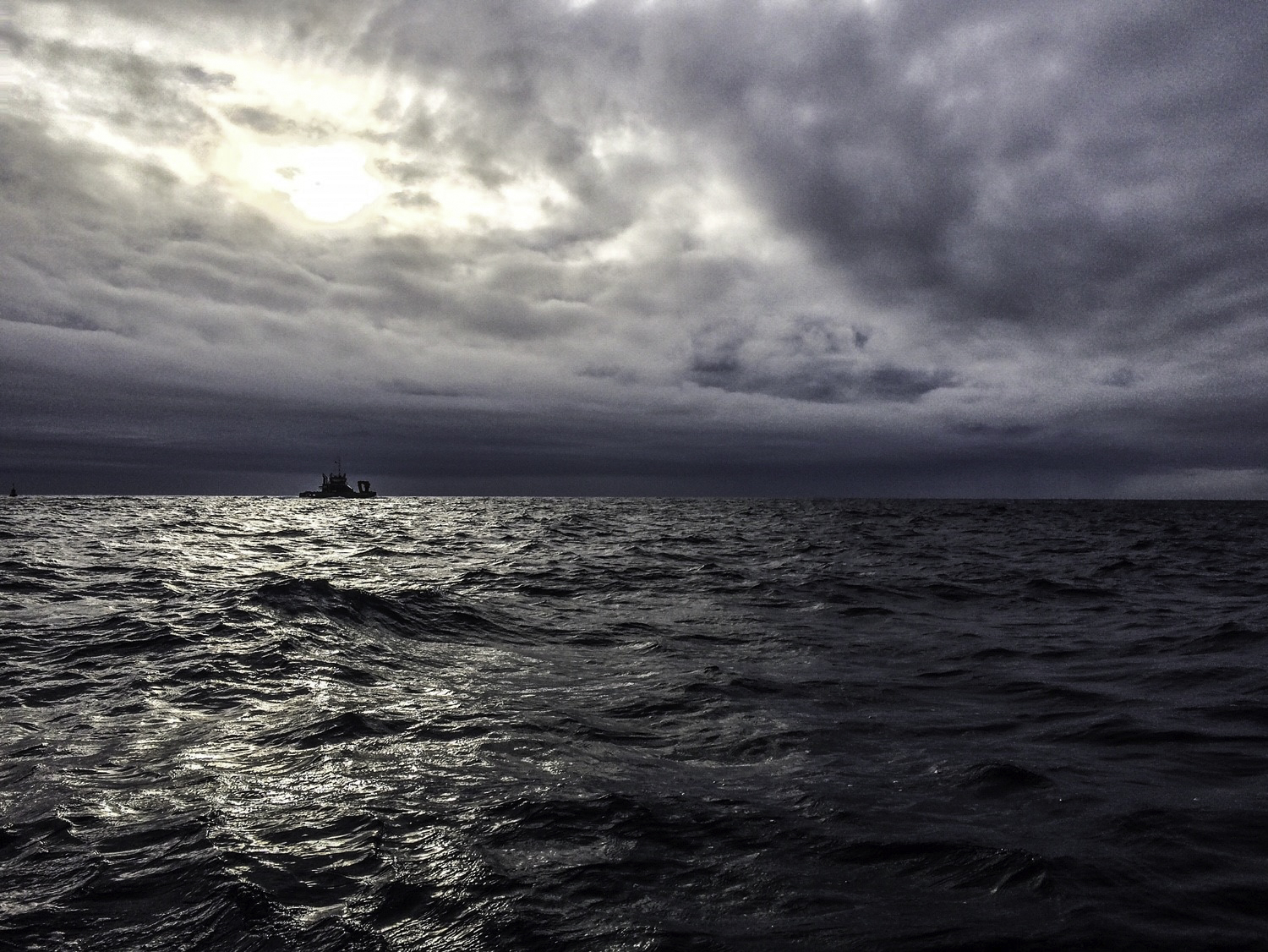 High Seas Treaty: Should we be celebrating? | Marine Biological Association