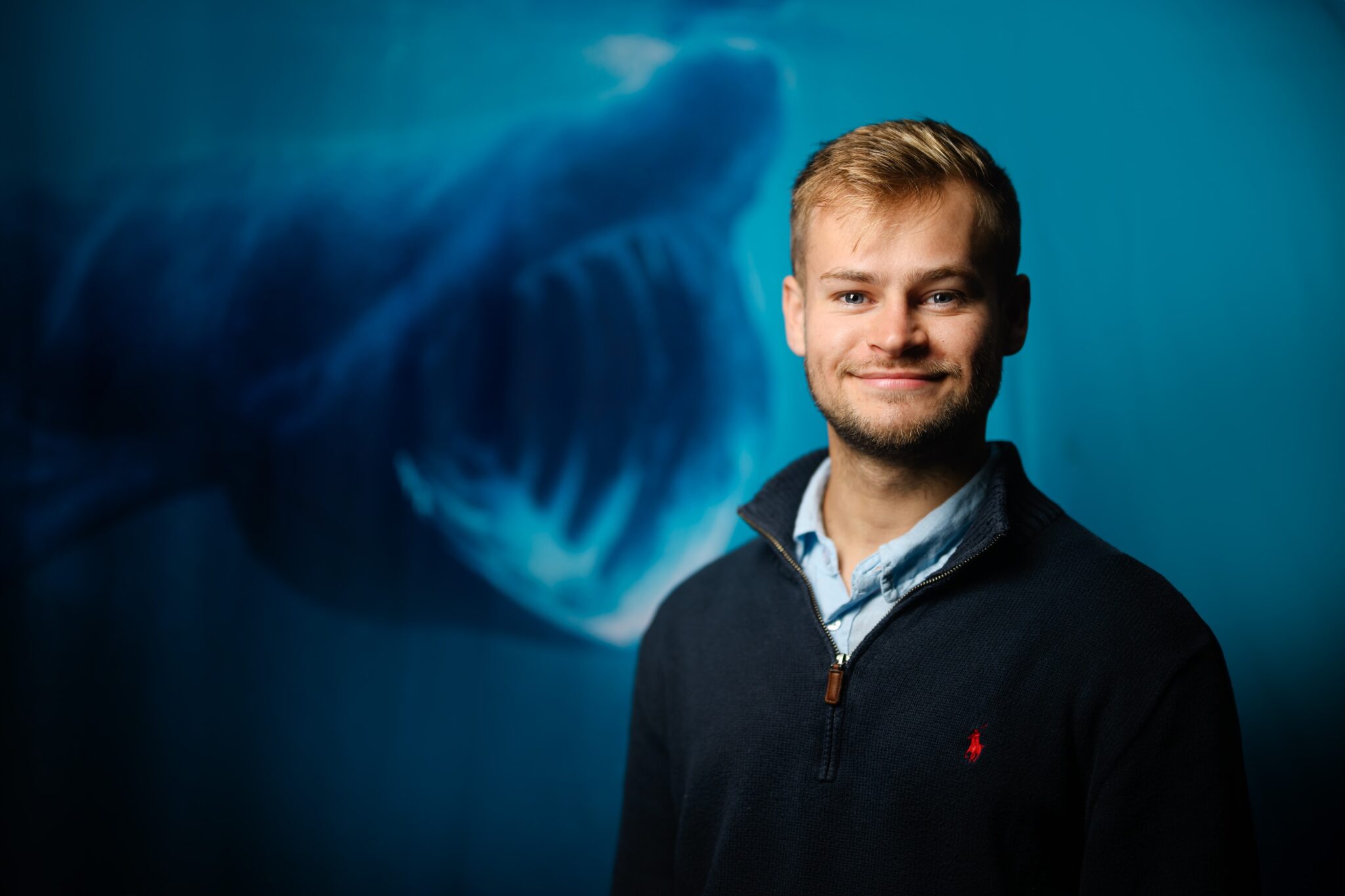 From tracking tiger sharks to mapping coral reefs: MBA placement ...
