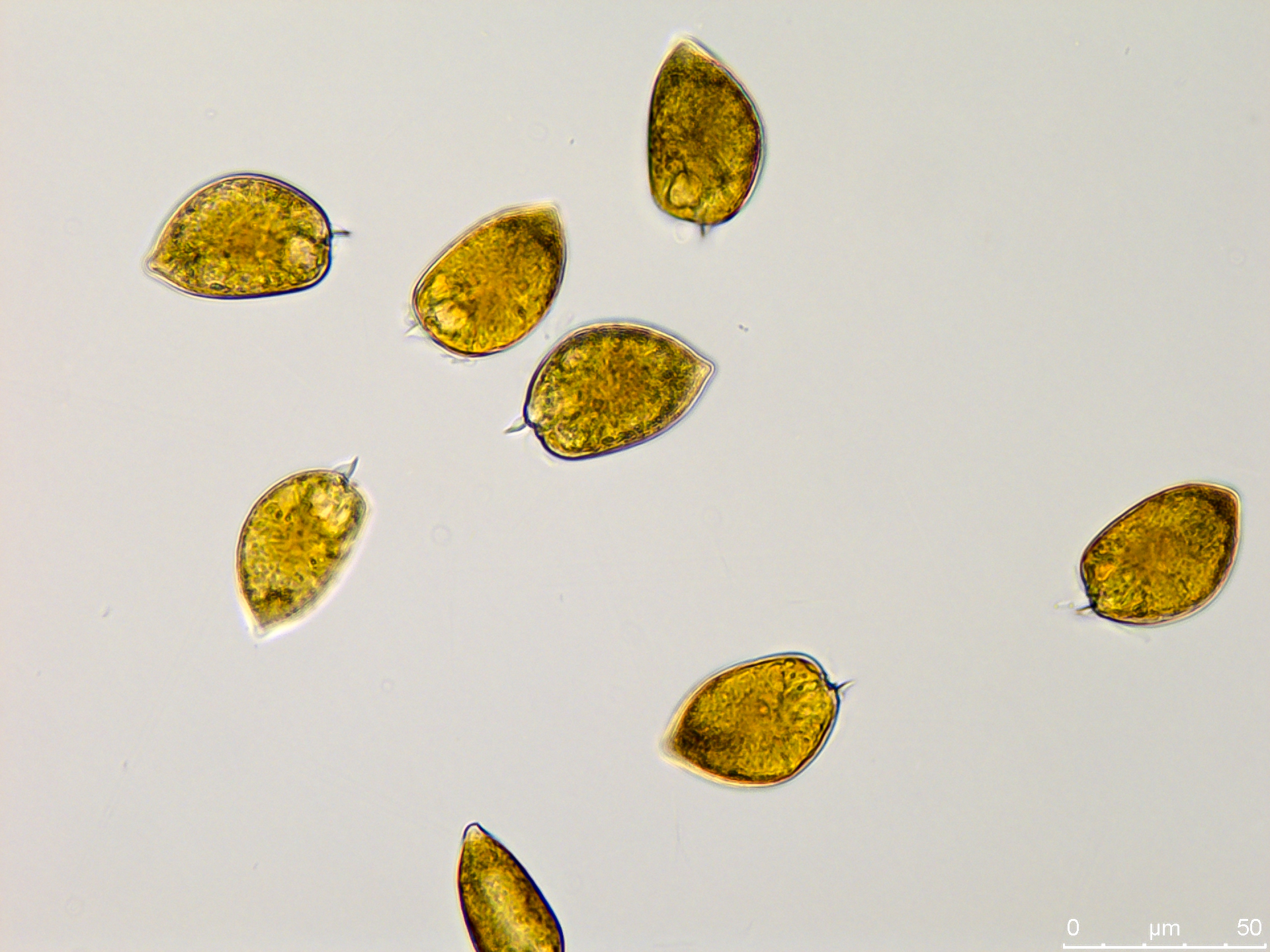 New study reveals link between climate change, oceanic circulation and ...