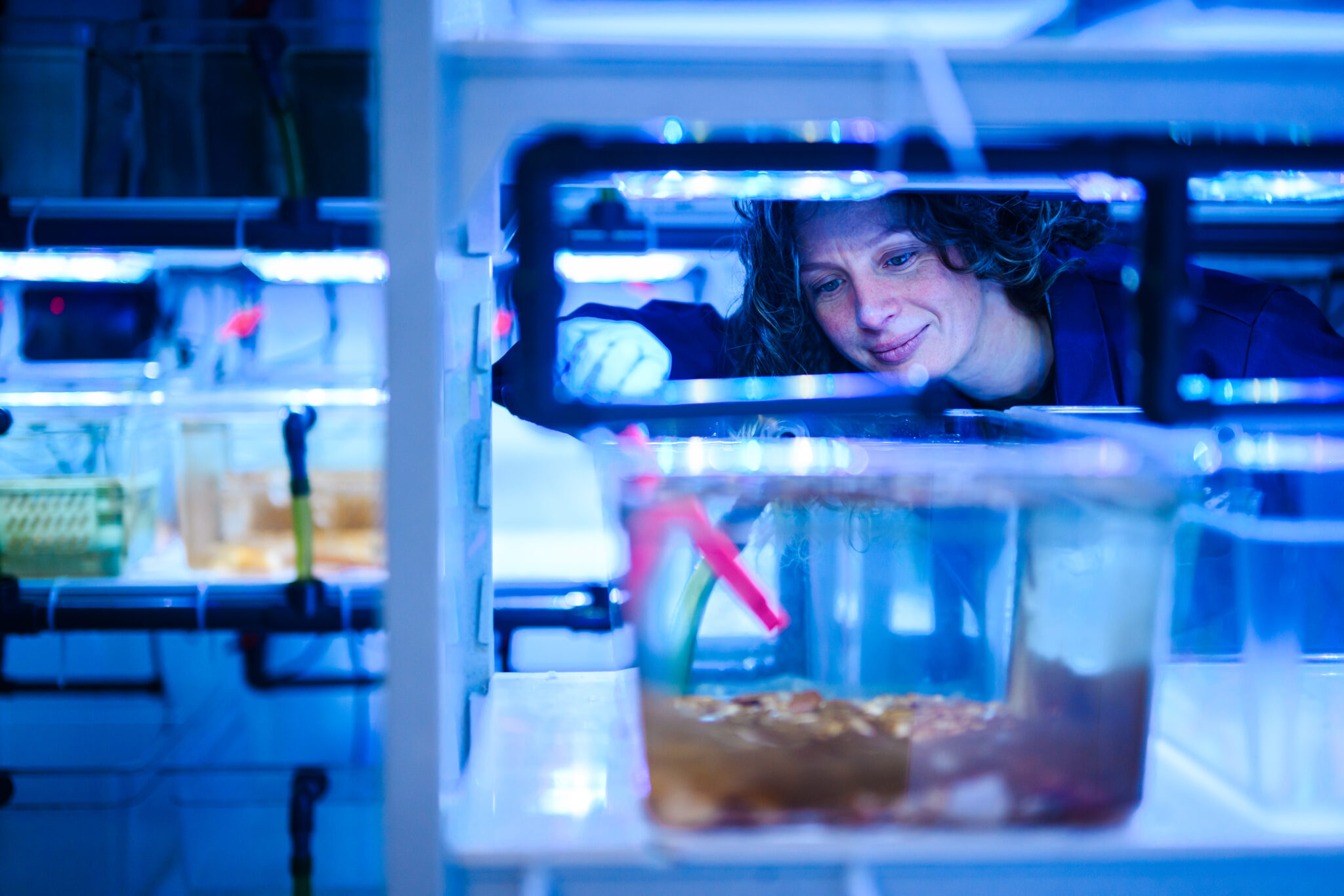 Seawater Life Support: Ambitious project to advance marine conservation ...