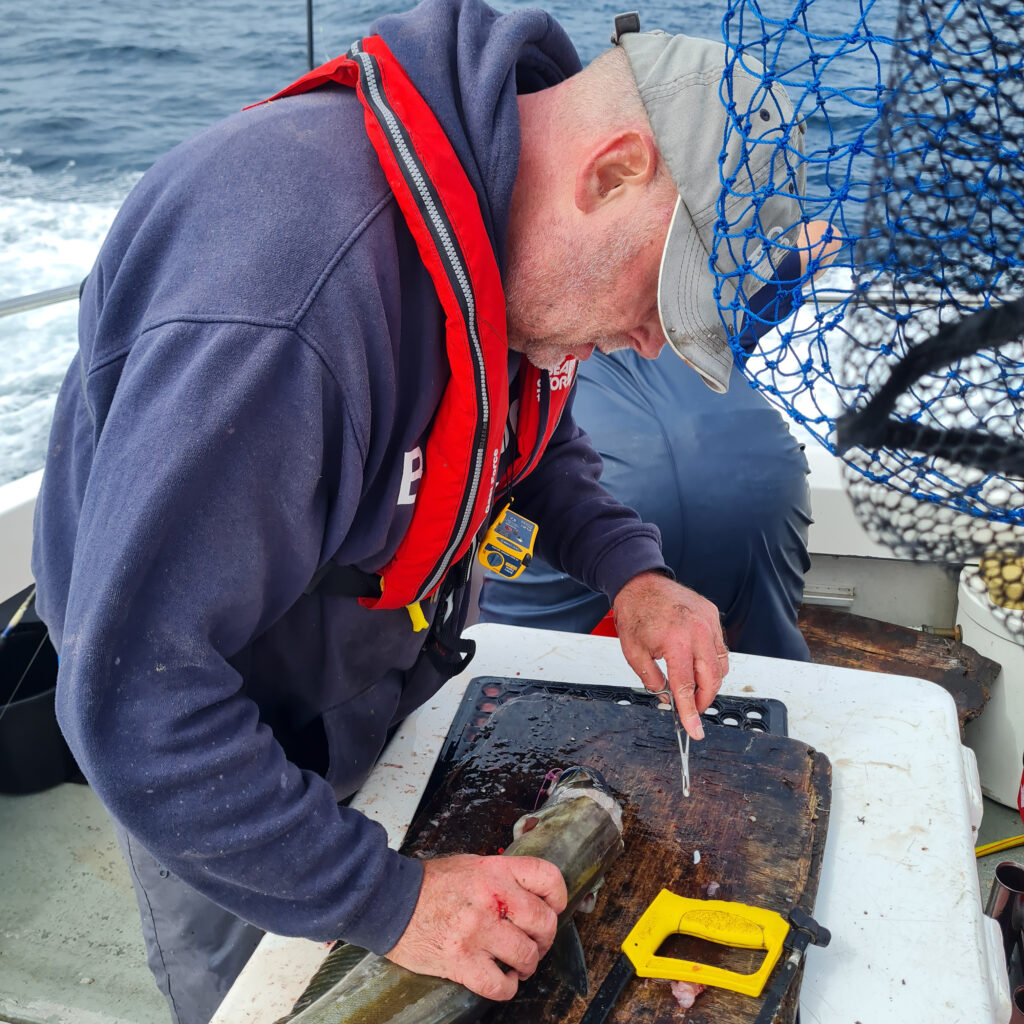 Fisheries and Conservation | Marine Biological Association