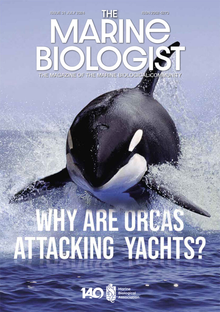 Our Magazine | The Marine Biologist | Marine Biological Association