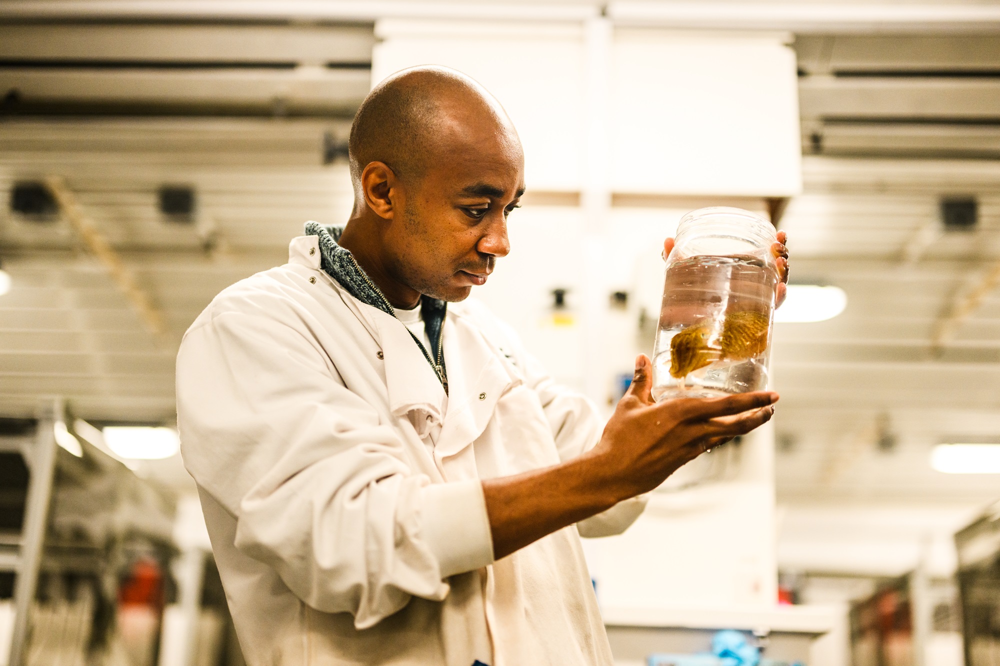 Unlocking secrets of cephalopod behaviour with the Marine Biological ...