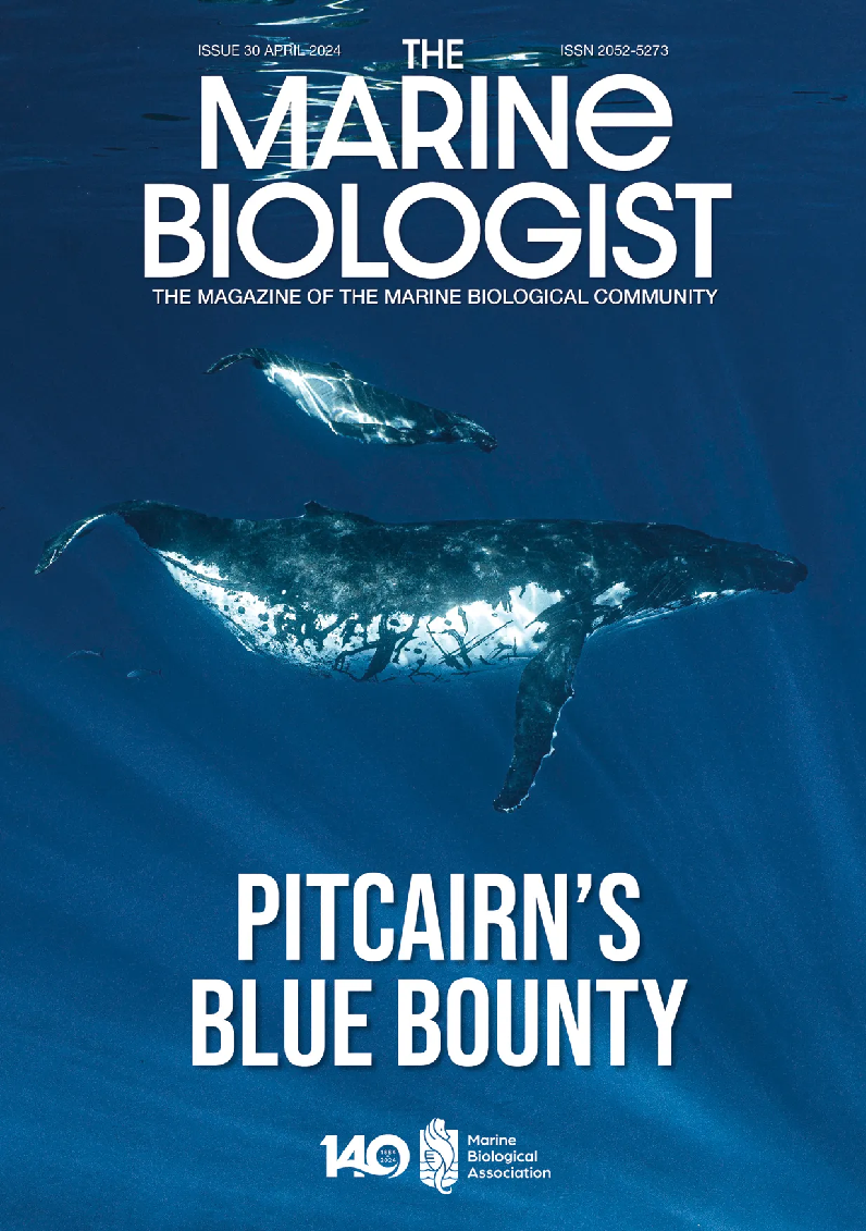 Our Magazine | The Marine Biologist | Marine Biological Association
