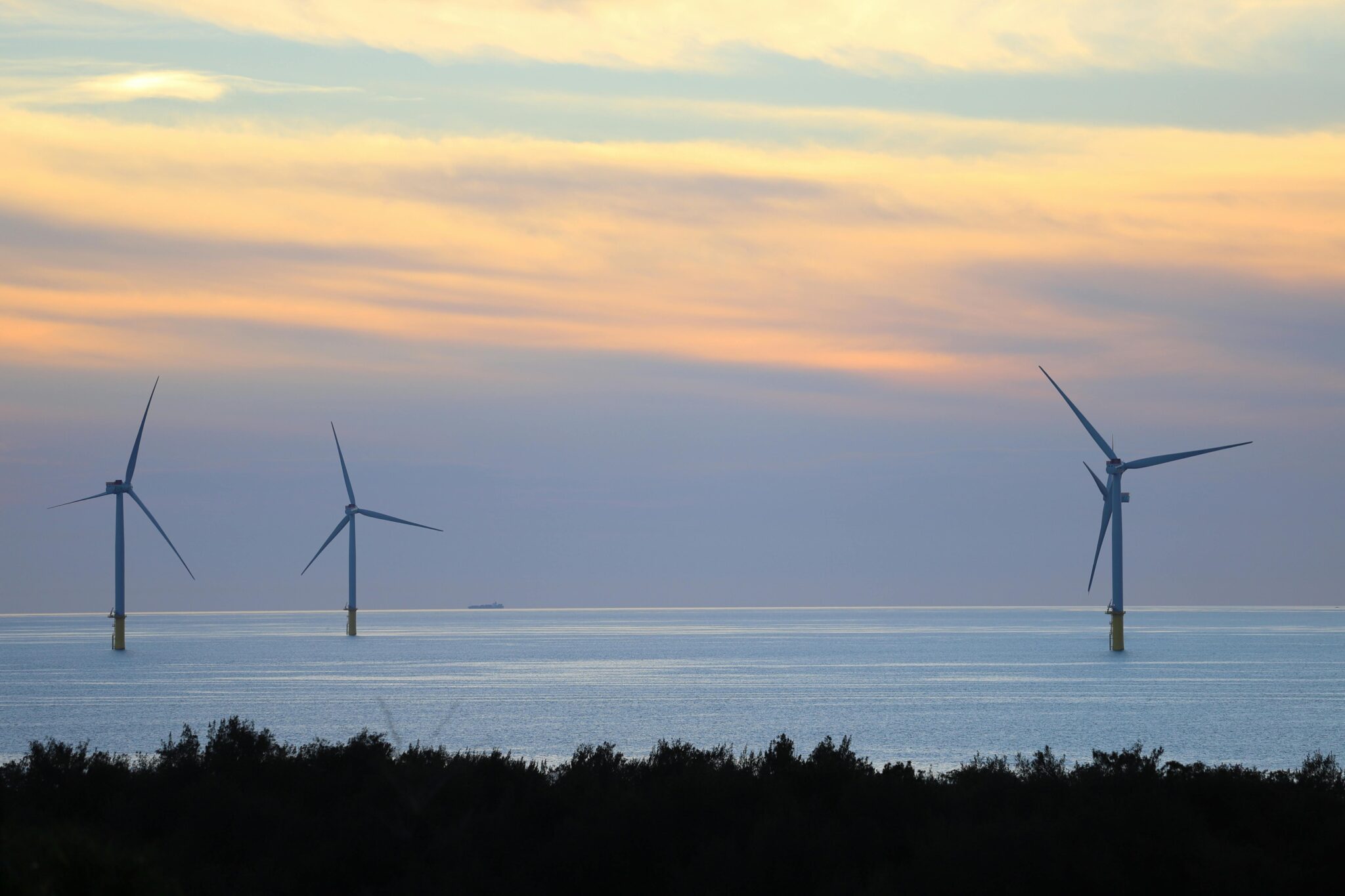 Ambitious study to explore effects of offshore wind farms on ocean life ...