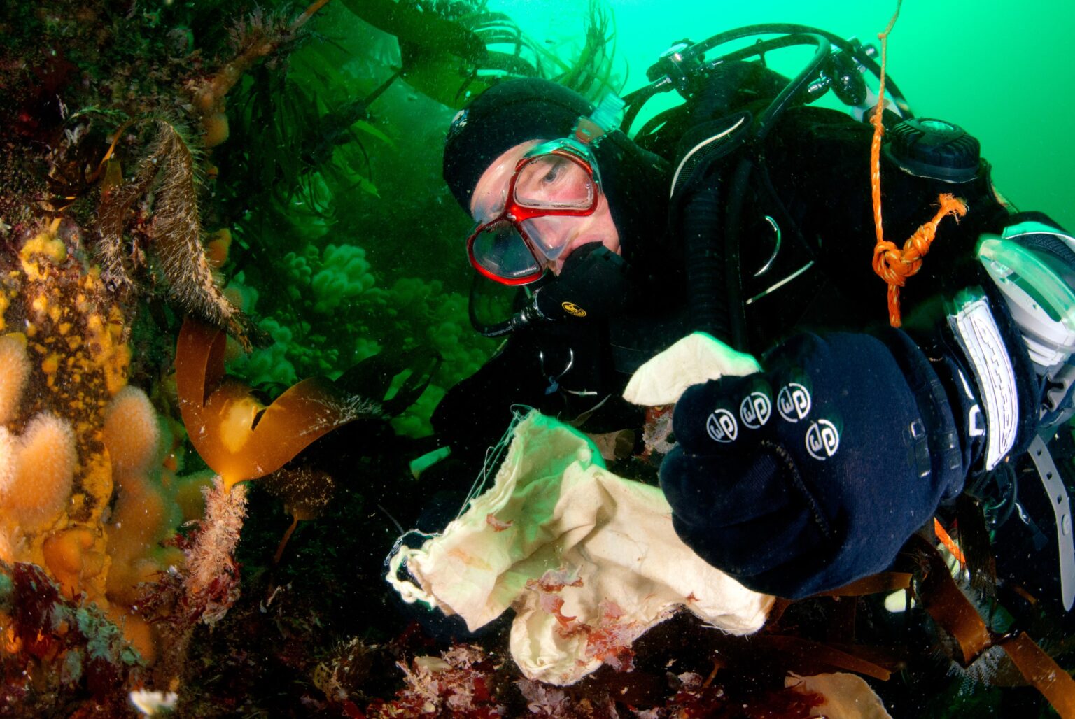 Dr Dan Smale awarded 2025 Hutchinson Award for Groundbreaking Research ...