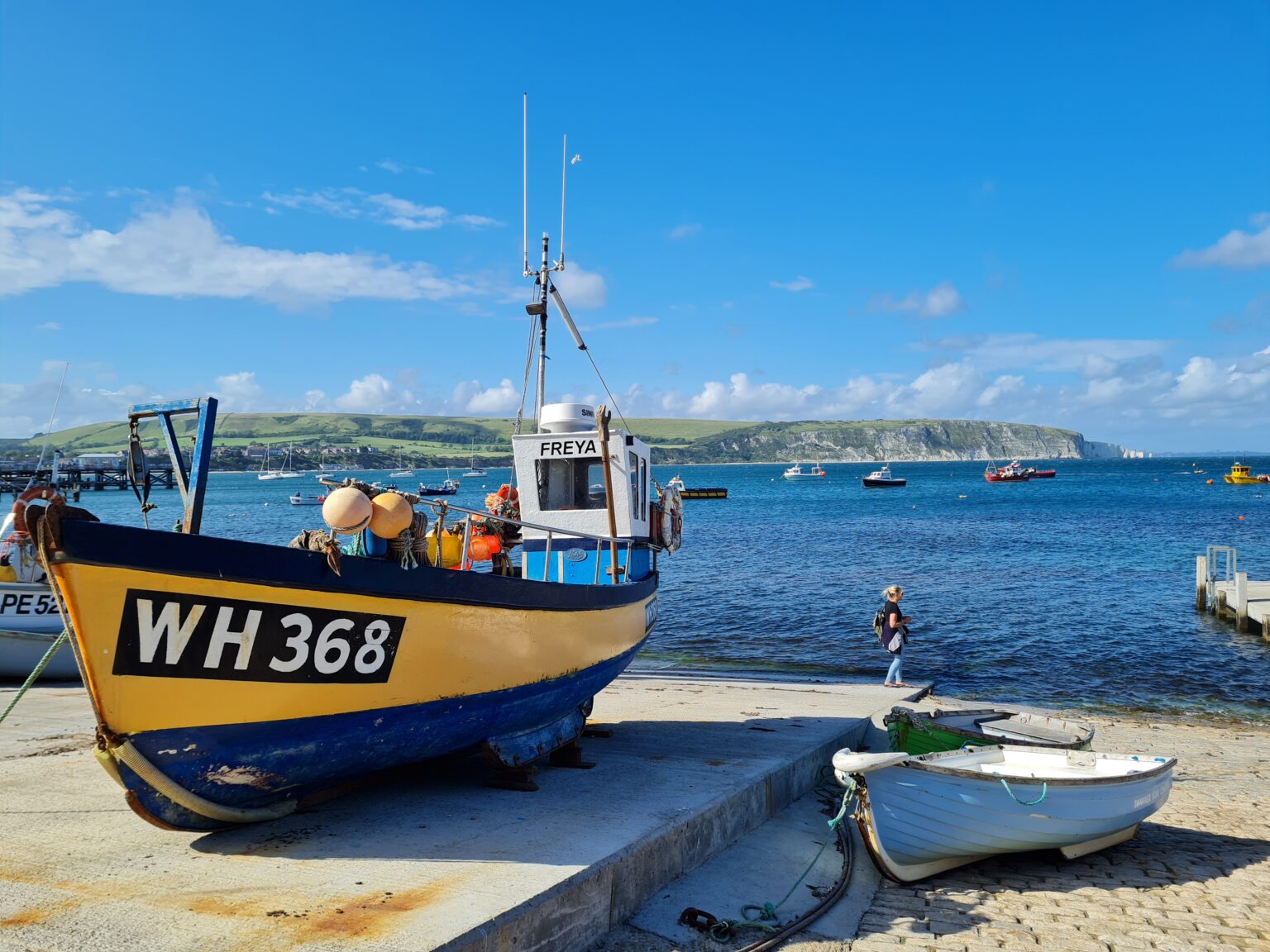 Urgent policy action needed to reverse decline in UK fisheries and ...