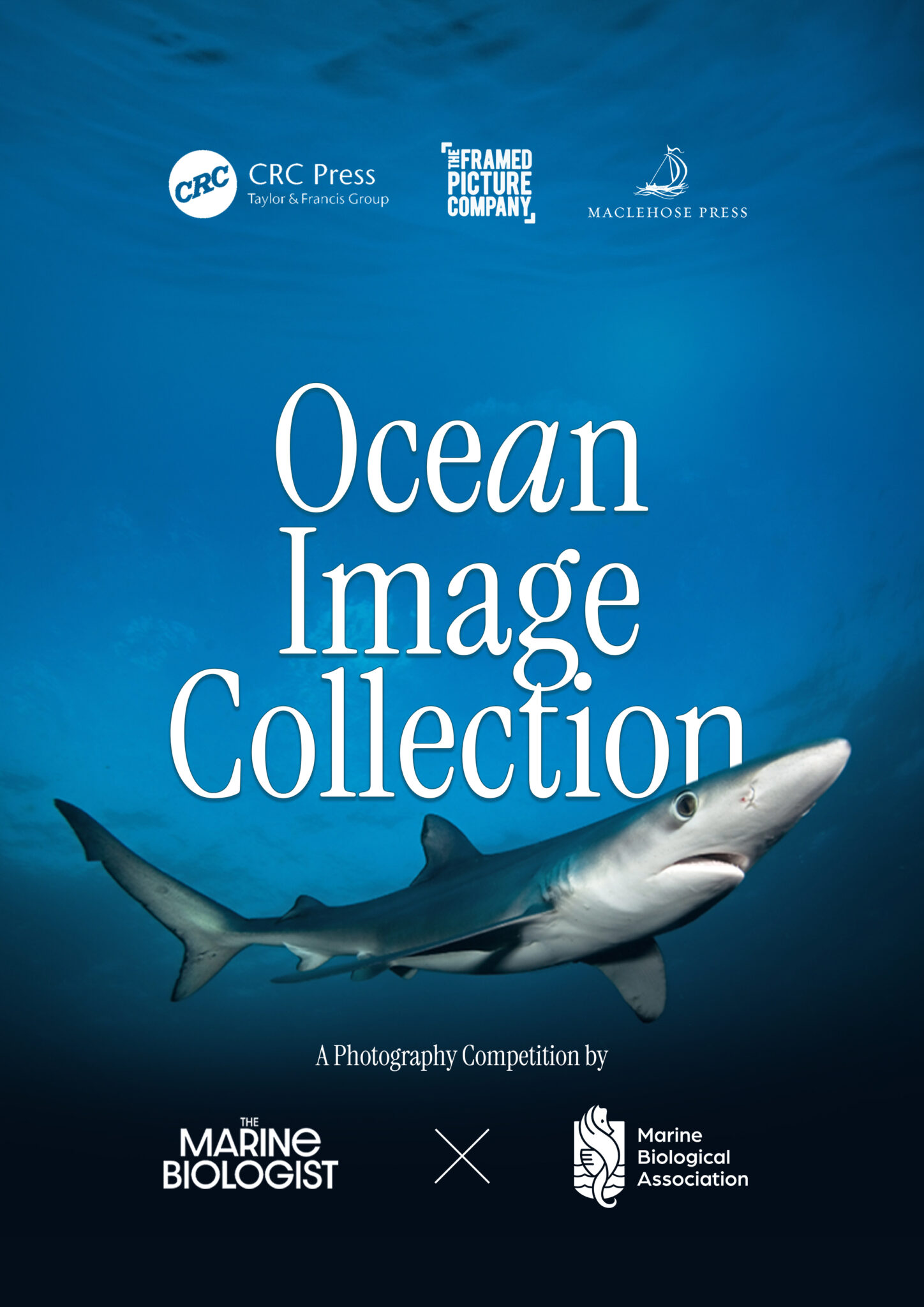 Ocean Image Collection | Marine Biological Association