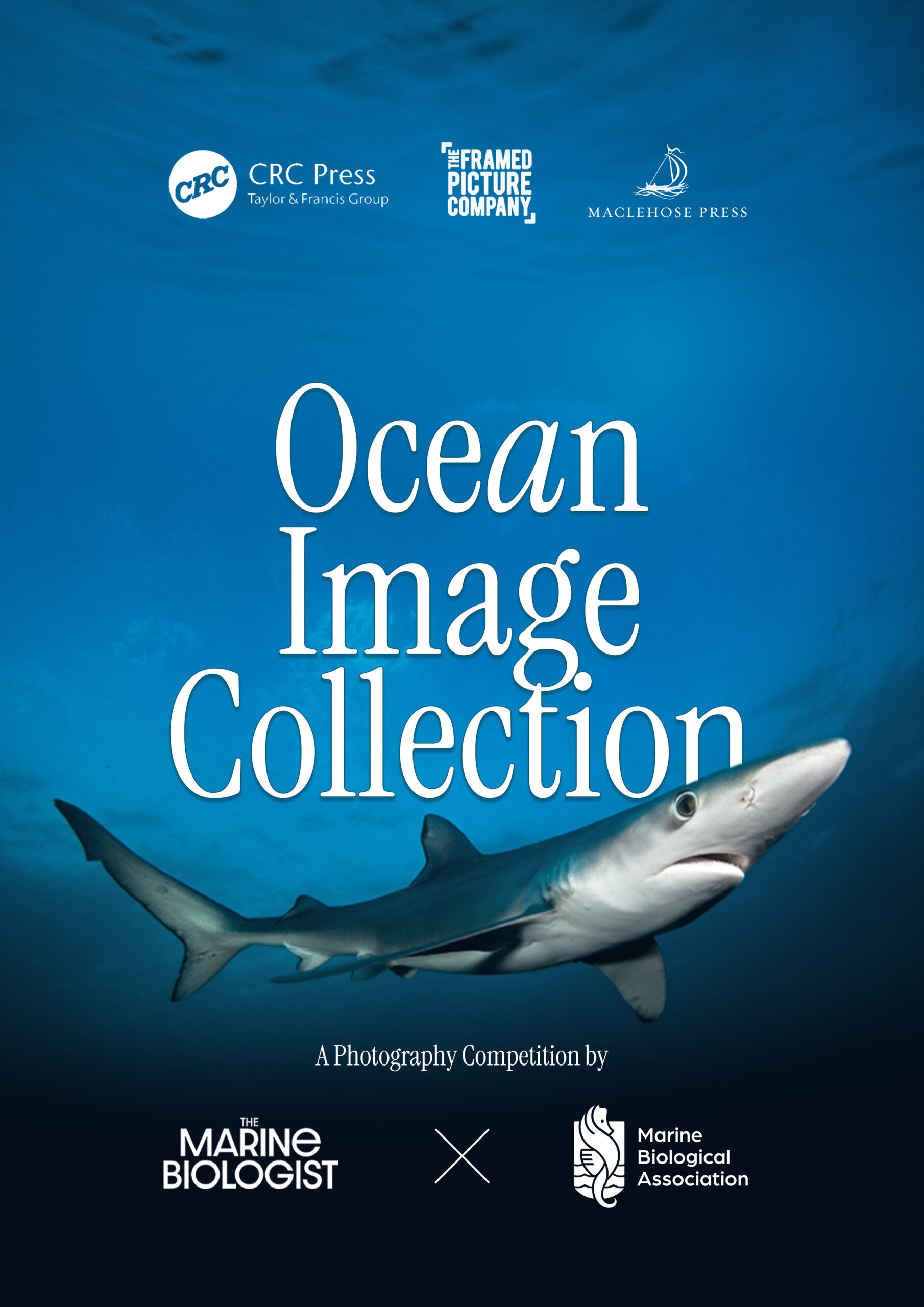Ocean Image Collection | Marine Biological Association